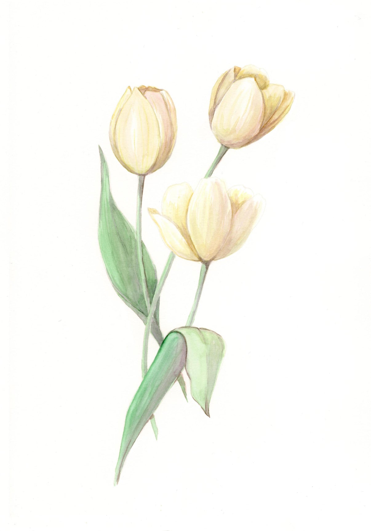 Printable Tulips Colouring Page | Download for FREE – Drop of Colour